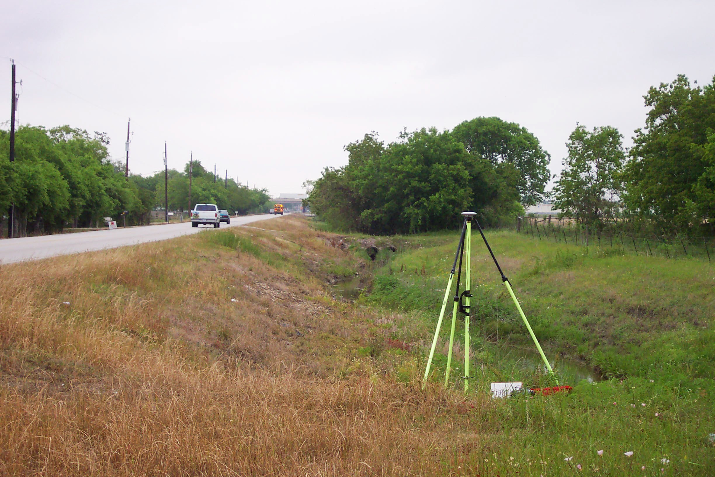 Services | Baseline | DCCM